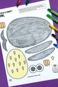 Free Printable Build A Owl Craft - Draw Craft Create