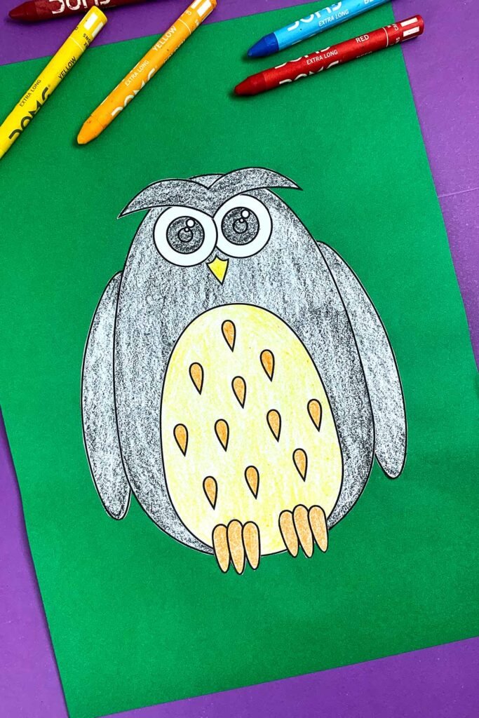 Free Printable Build A Owl Craft - Draw Craft Create