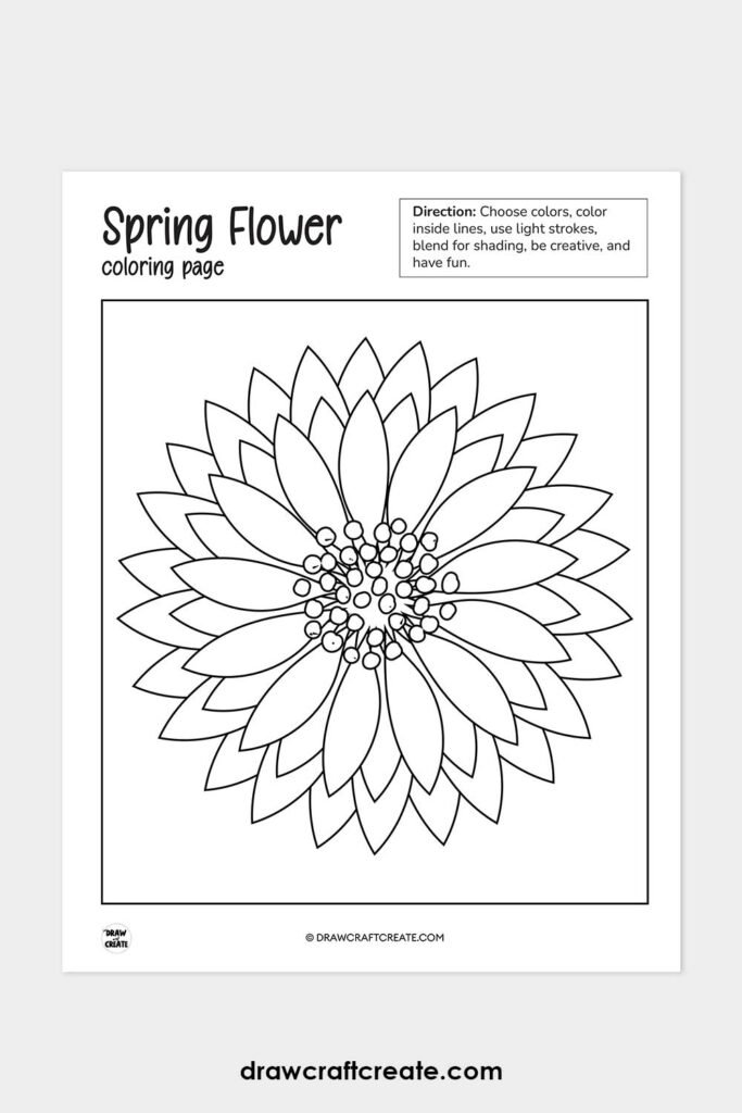 Spring Flower Coloring Pages - Draw Craft Create