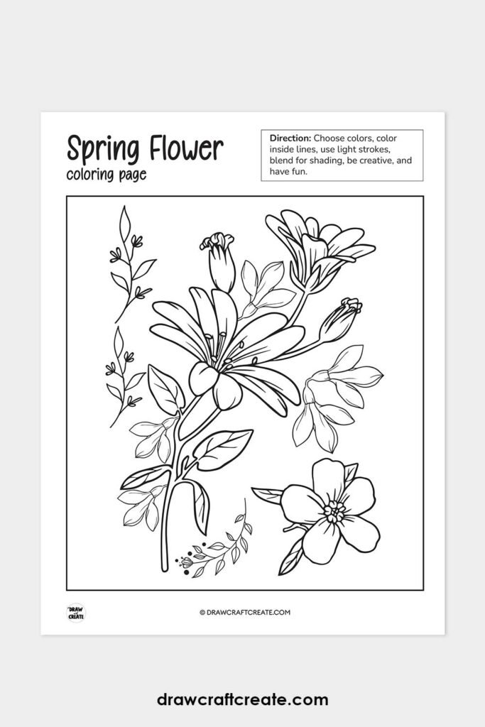 Spring Flower Coloring Pages - Draw Craft Create