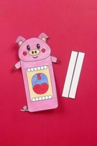 Free Printable Pig Puppet - Draw Craft Create